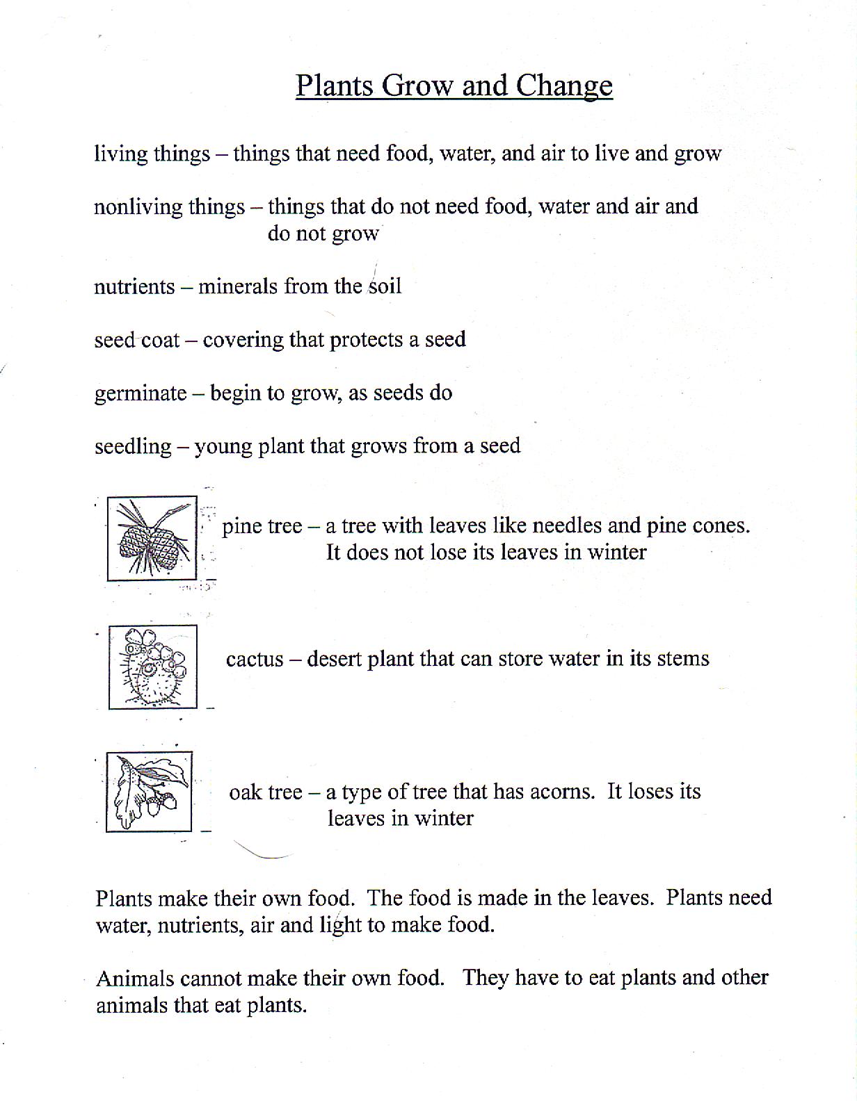 Second Grade || 1. Study Guide - Plants Grow and Change